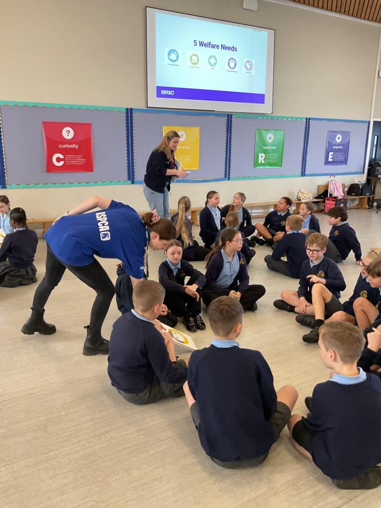 The RSPCA visit Y5 and Y6 - Peasedown St John Primary School